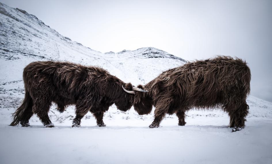National Geographic Photo Of The Day